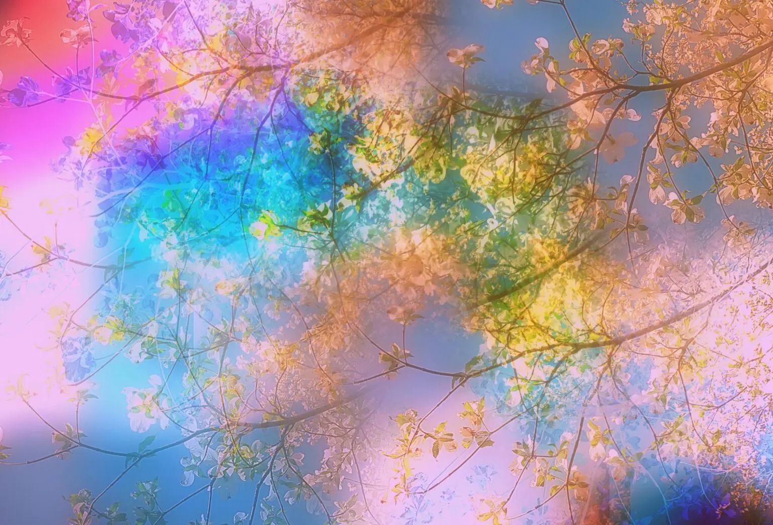 21 Best Psychedelic Books | Beckley Retreats